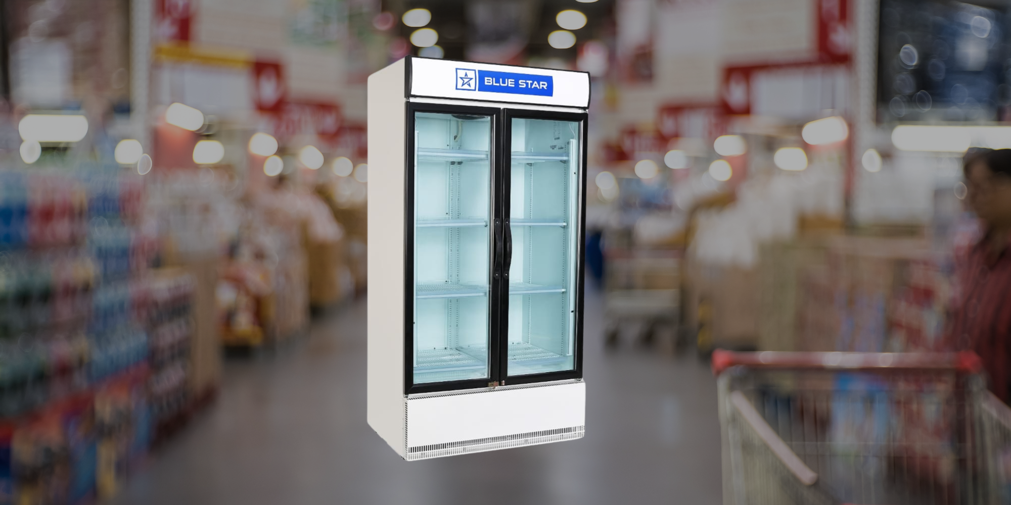 Blue Star SC1000F Super Cooler | 947 Litres | Me Shop